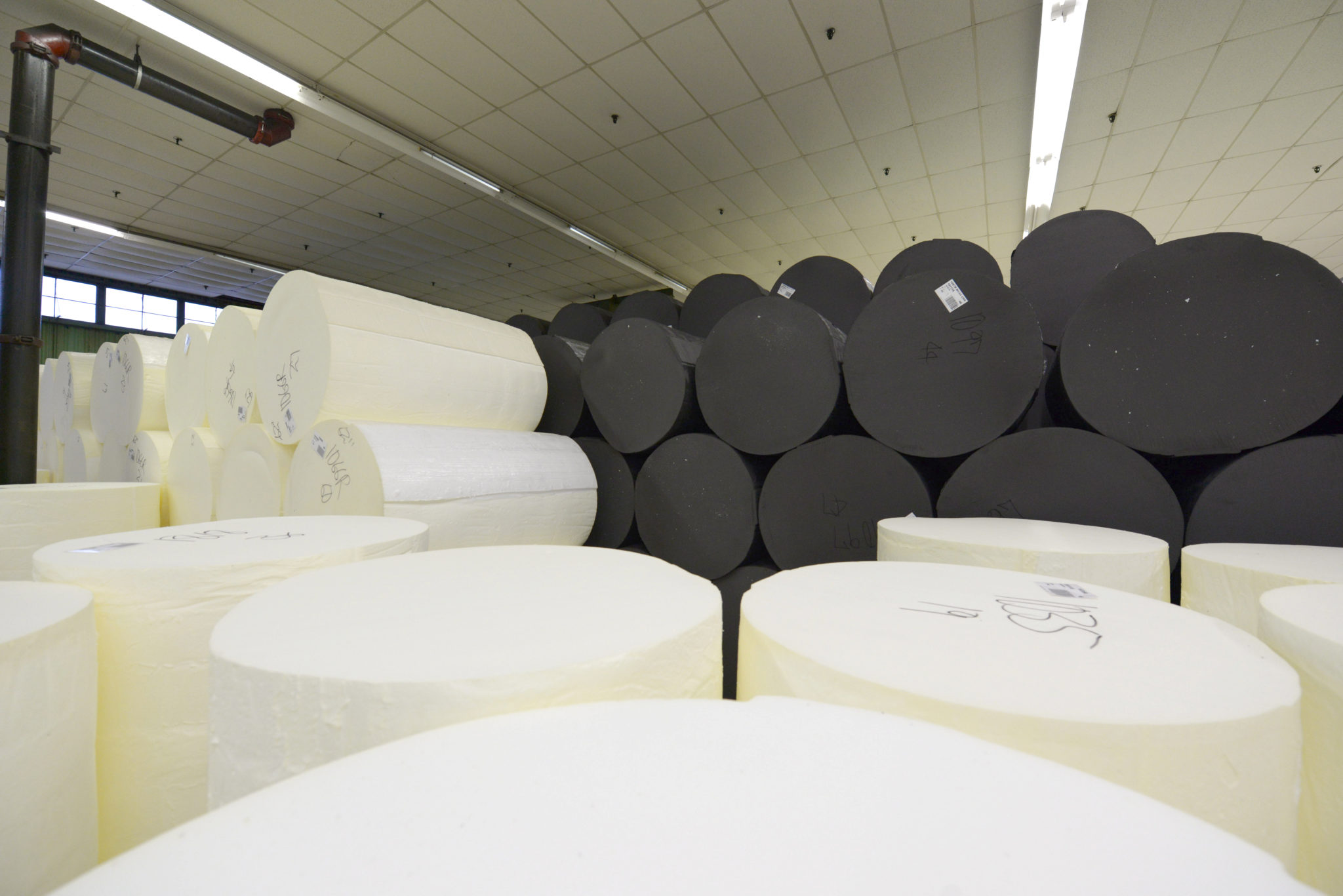 Transformation Archives - domfoam